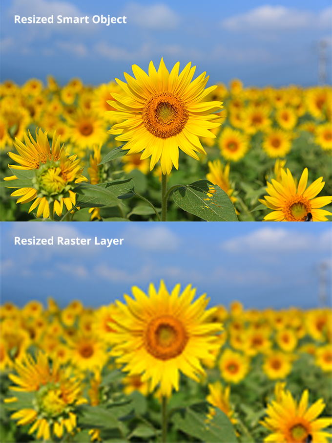 Photoshop Tips Tricks Smart Objects In Web Convoy